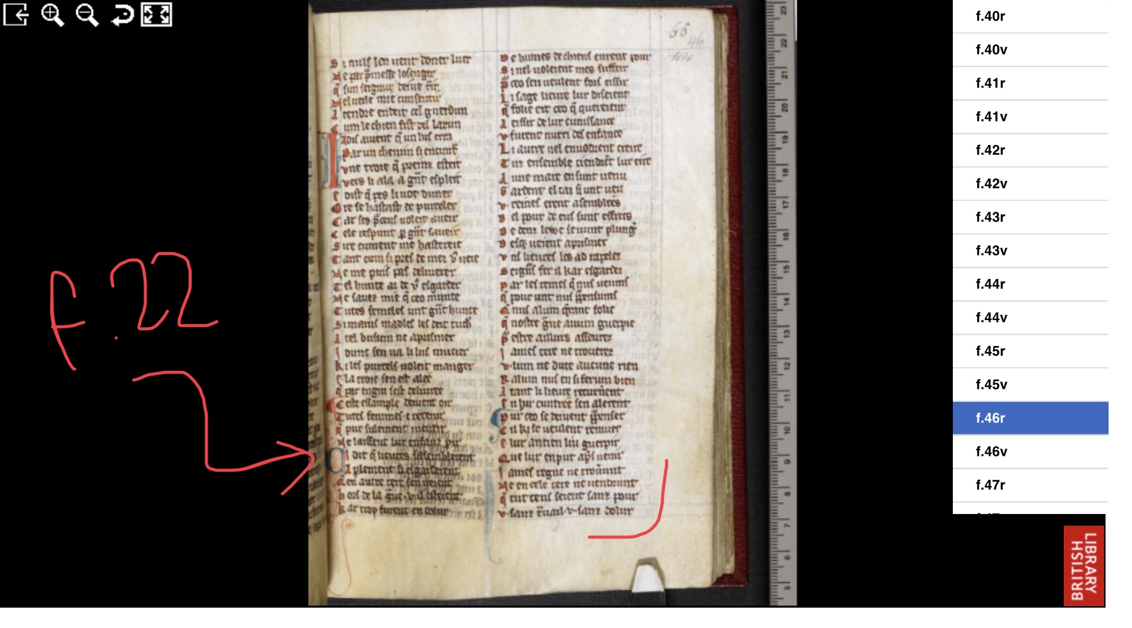 Animal reading: teaching and learning about animal thinking | Juliet O ...