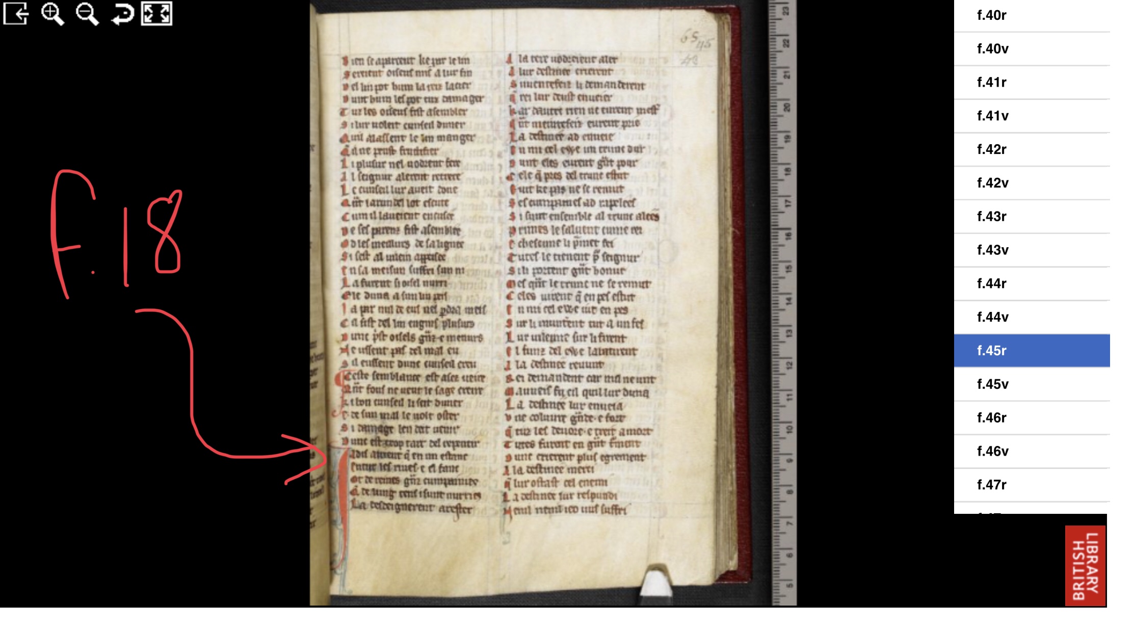 Animal reading: teaching and learning about animal thinking | Juliet O ...