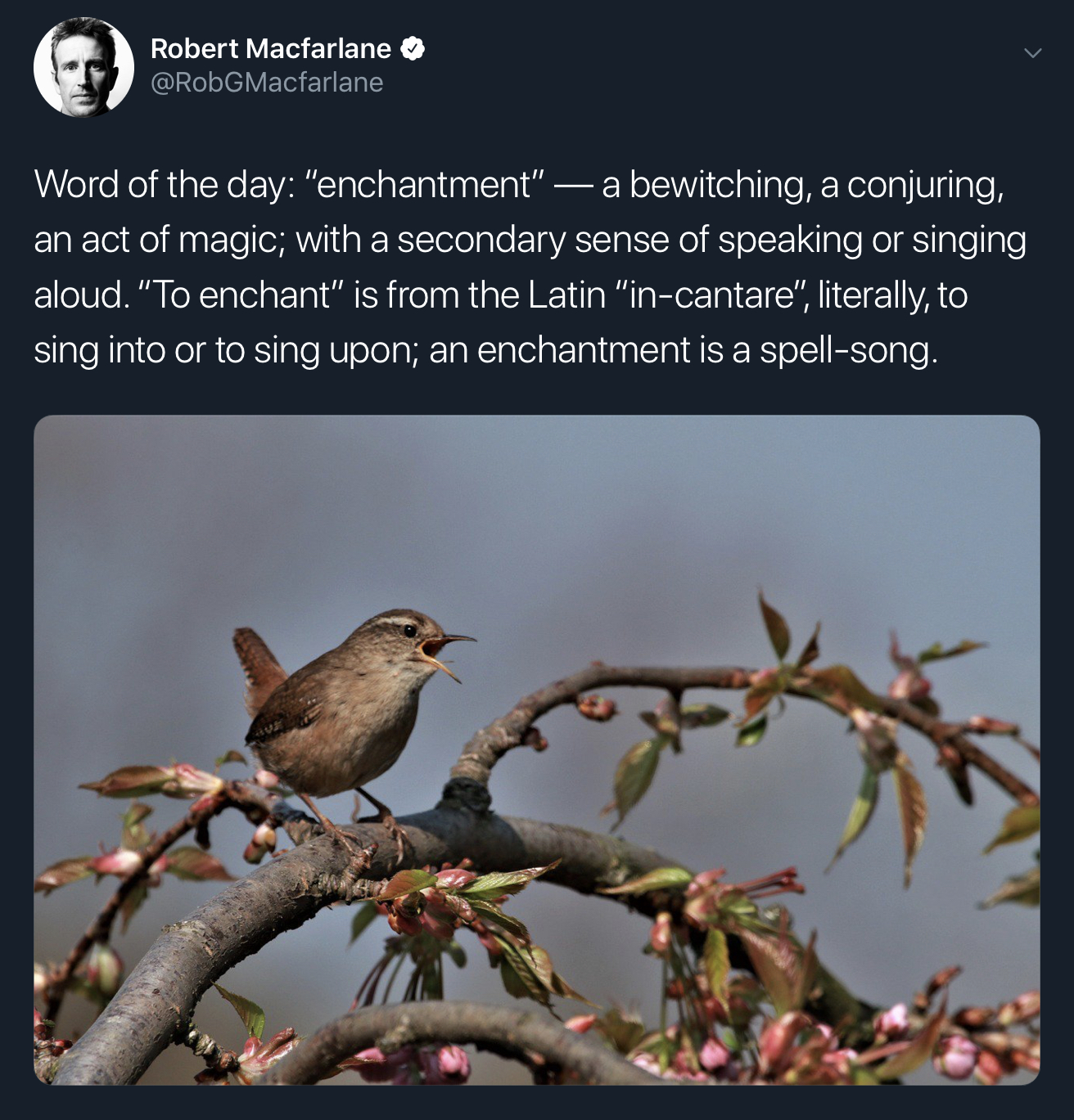 Animal reading: teaching and learning about animal thinking | Juliet O ...