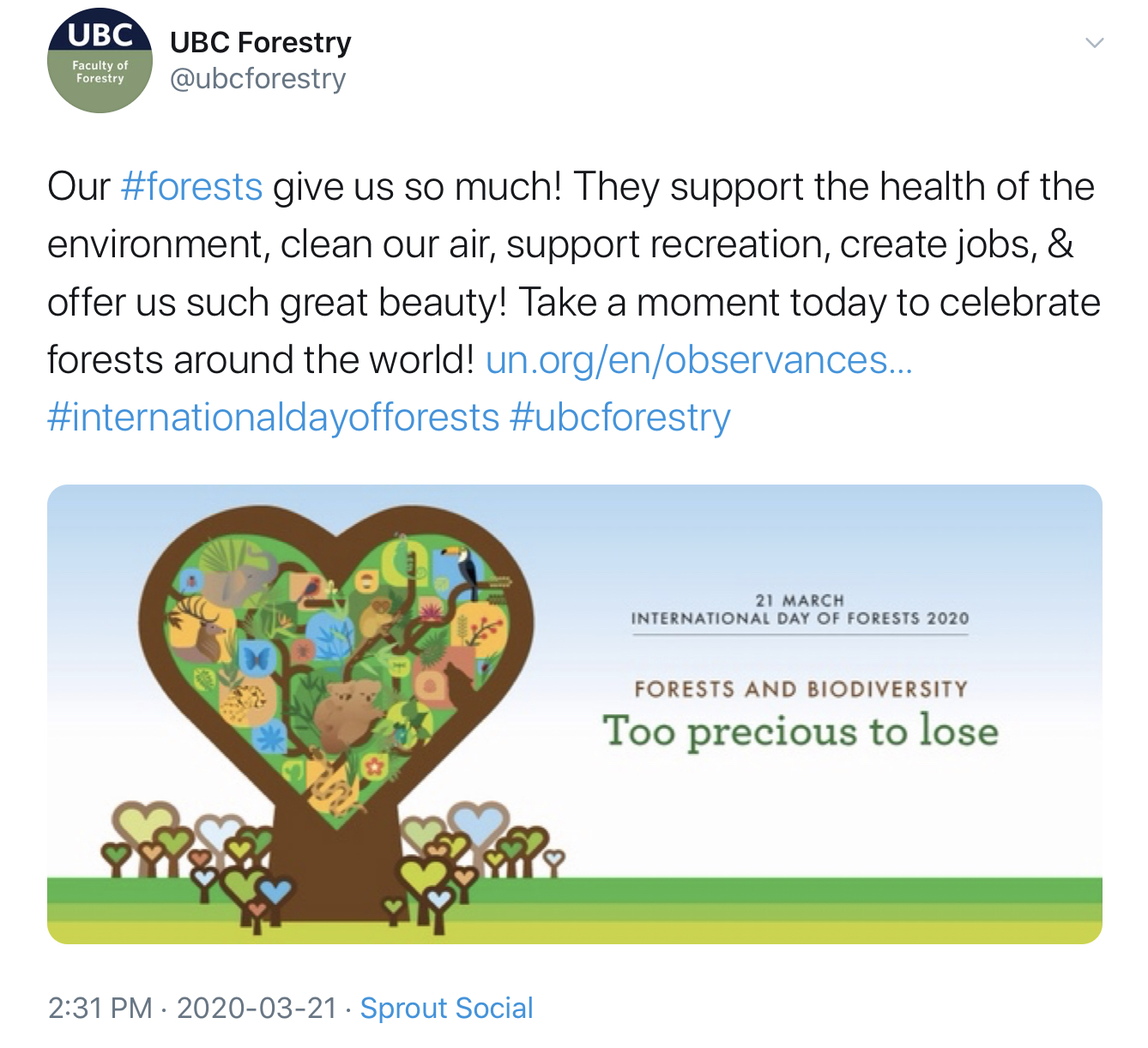 two very-short-story-sprouts / #COVIDcampus #remoteteaching # ...